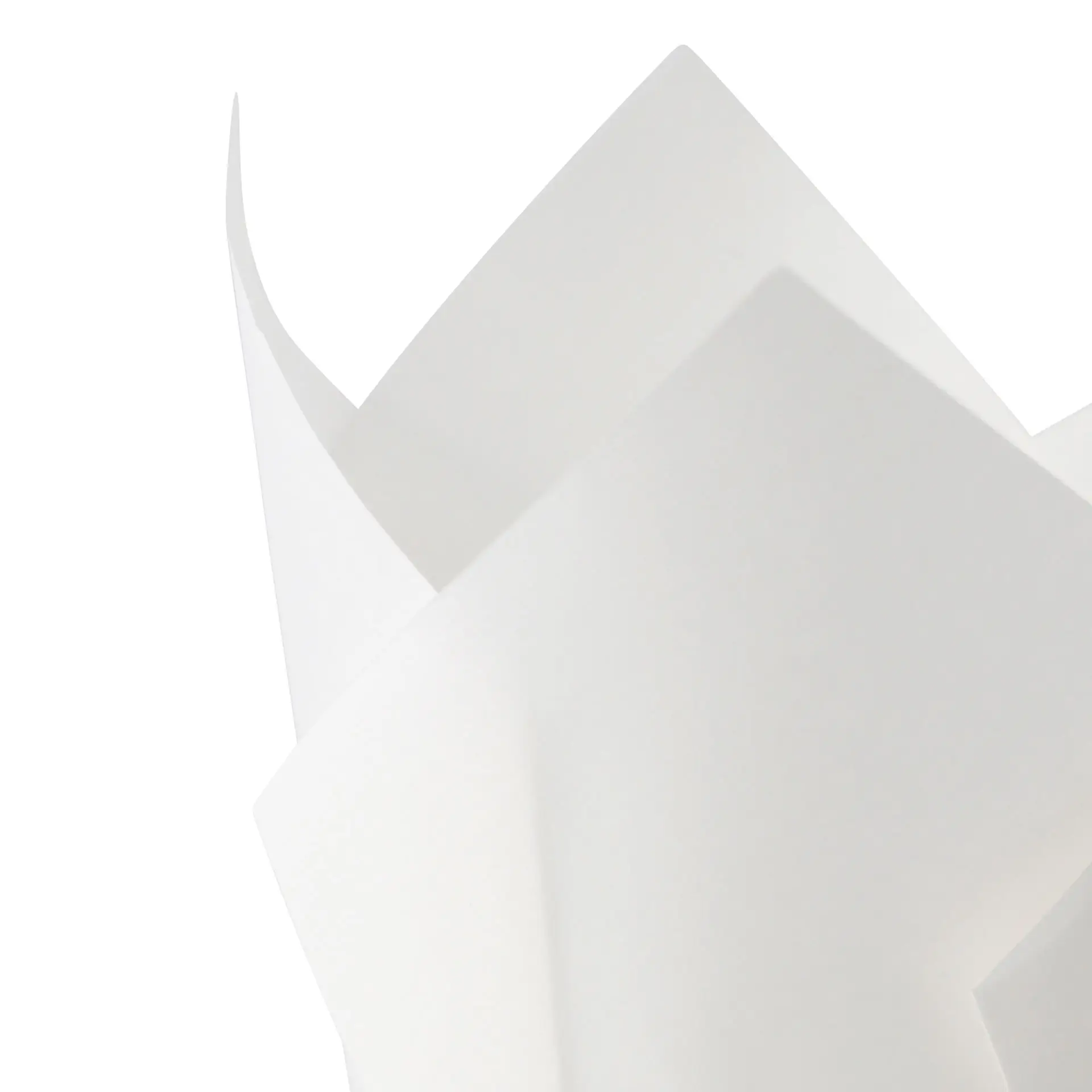 Paper Muffin Cups | Green Box